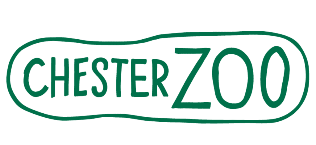 Chester Zoo - Stone Create